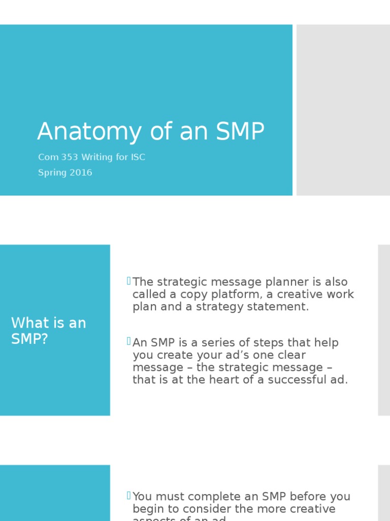 Anatomy of An SMP | PDF | Target Audience | Advertising