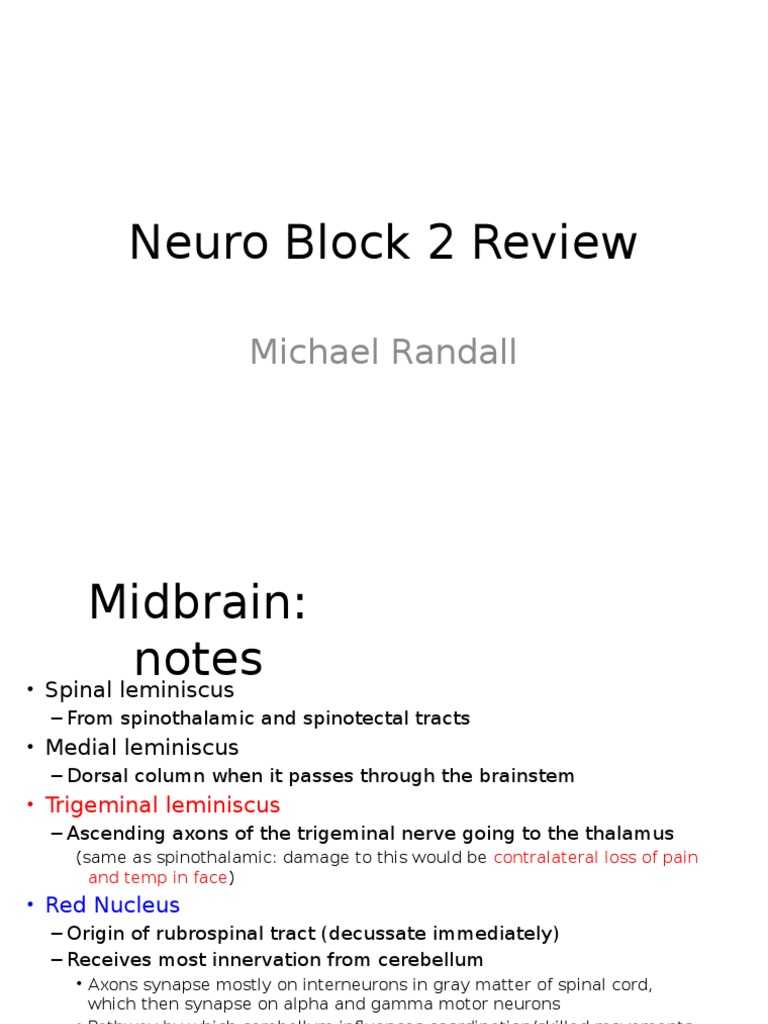 Mike's Neuro Block 2 Review | PDF | Cerebellum | Thalamus