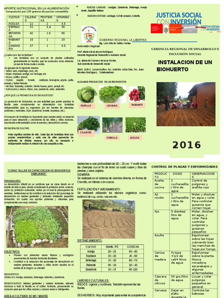 Tripticos Biohuertos Un | Descargar gratis PDF | Vegetales | Espinacas