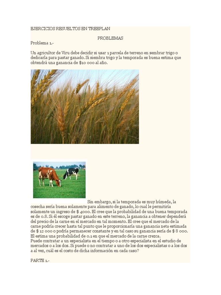 Ejercicios Resueltos en Treeplan | PDF | Probabilidad | Euro