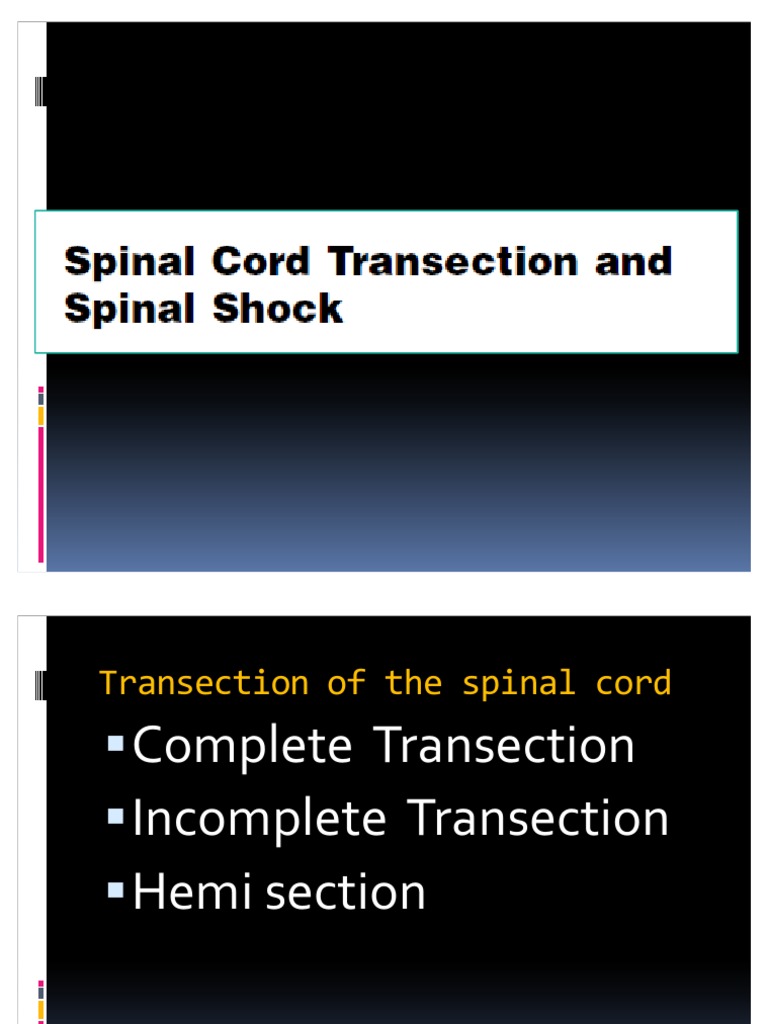 Spinal Shock | PDF | Spinal Cord | Neuroanatomy