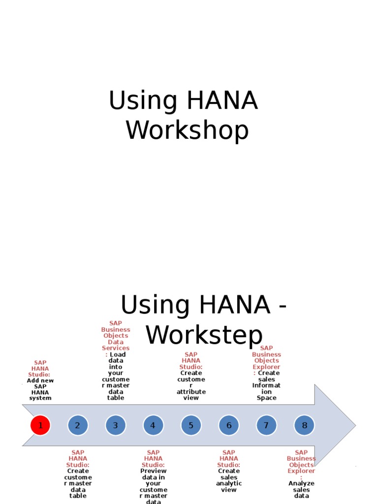 SAP HANA Studio Workshop Guide | PDF | Sap Se | Data Management