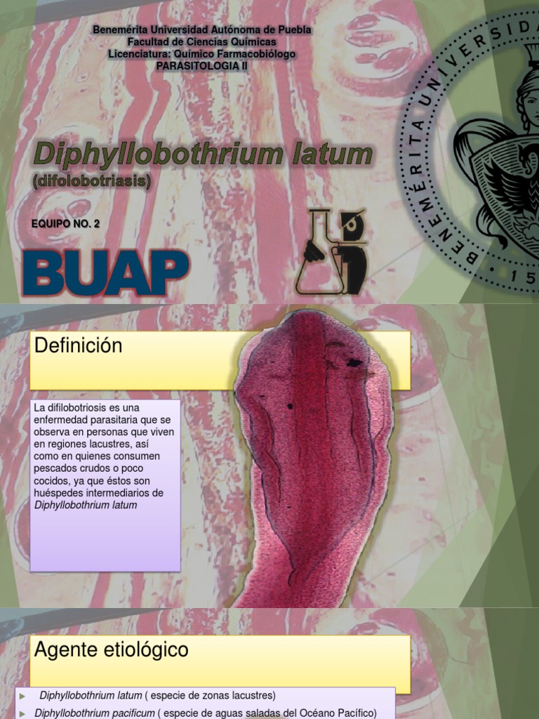 Diphyllobothrium Latum Clase | Salud pública | Medicina CLINICA