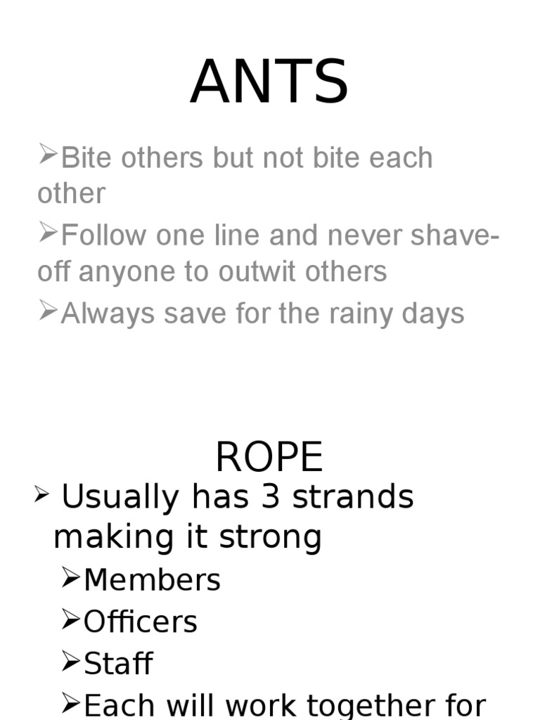 Bite Others But Not Bite Each Other Follow One Line and Never Shave-Off ...
