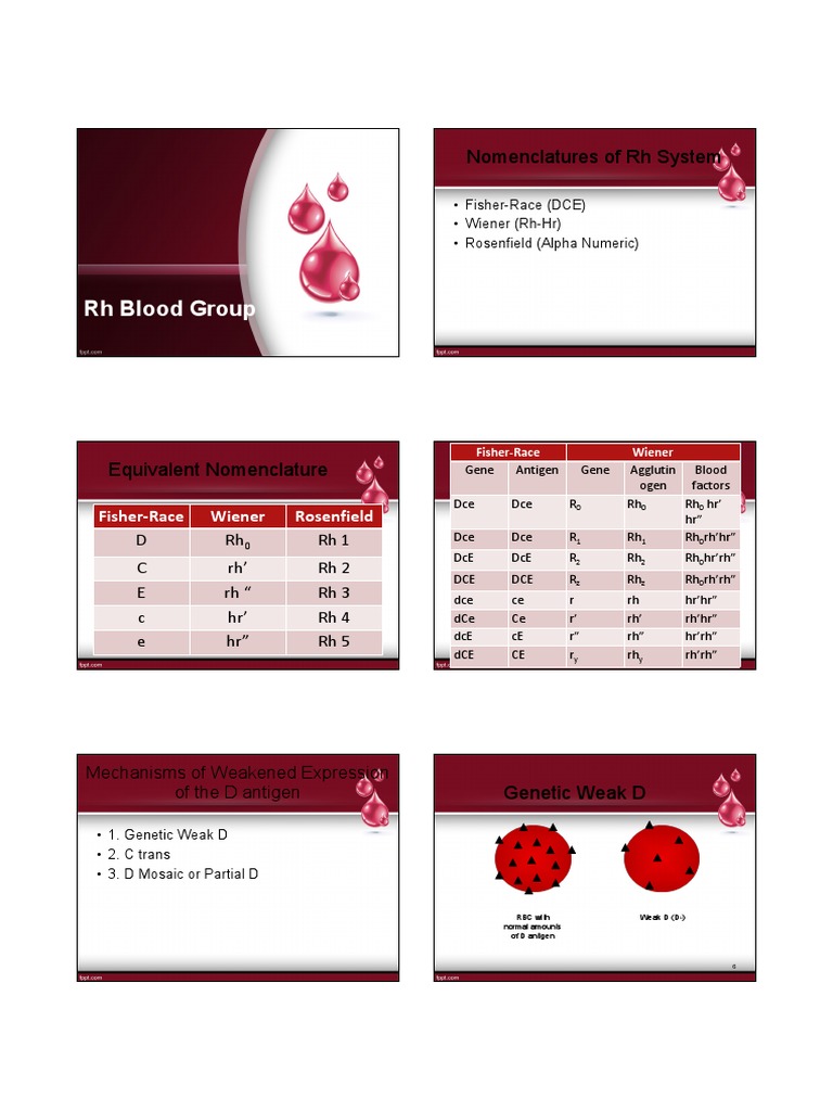 RH Blood Group: Nomenclatures of RH System | PDF