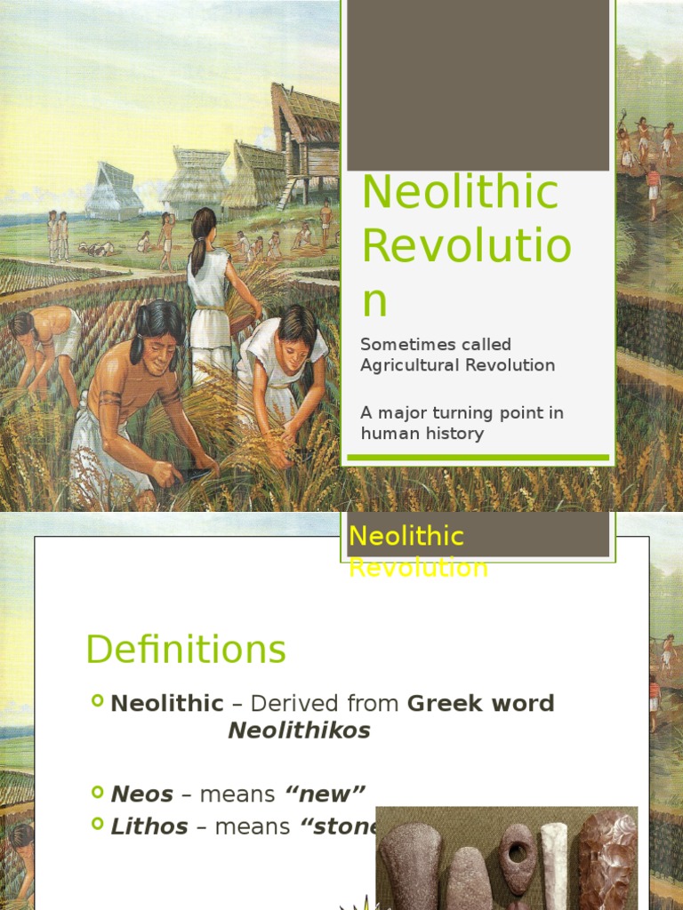 Neolithic Revolution: A Turning Point | PDF | Social Science