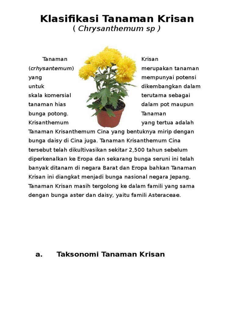 Klasifikasi Tanaman Krisan | PDF | Kesehatan Holistik