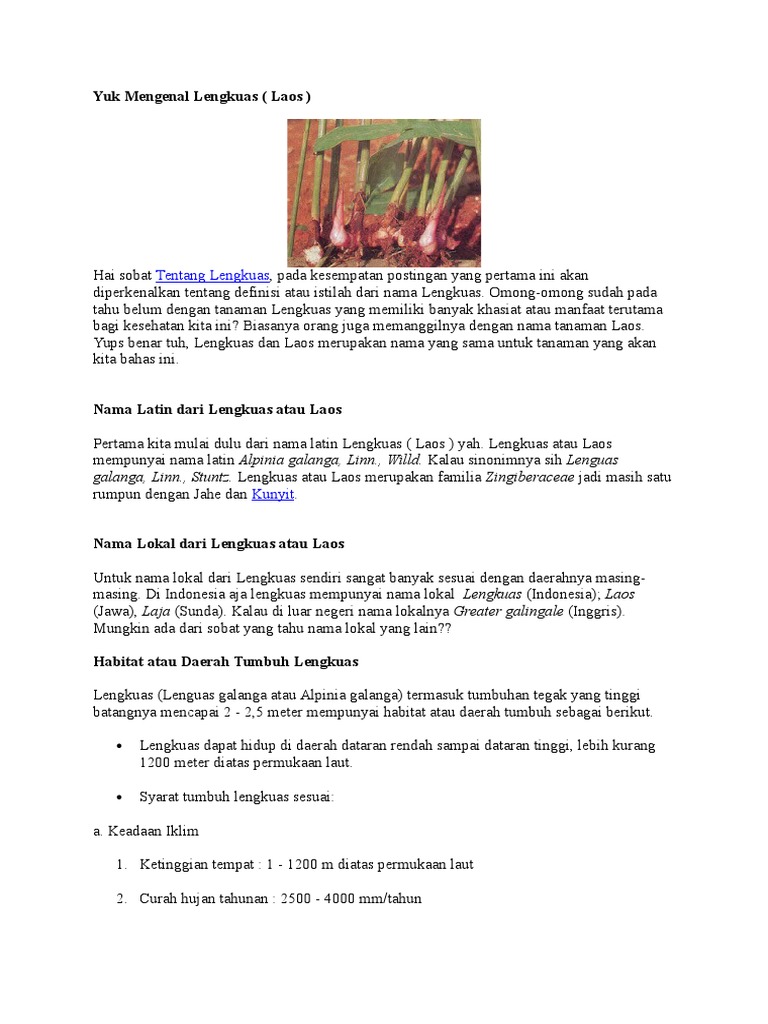 Mengenal Lengkuas | PDF