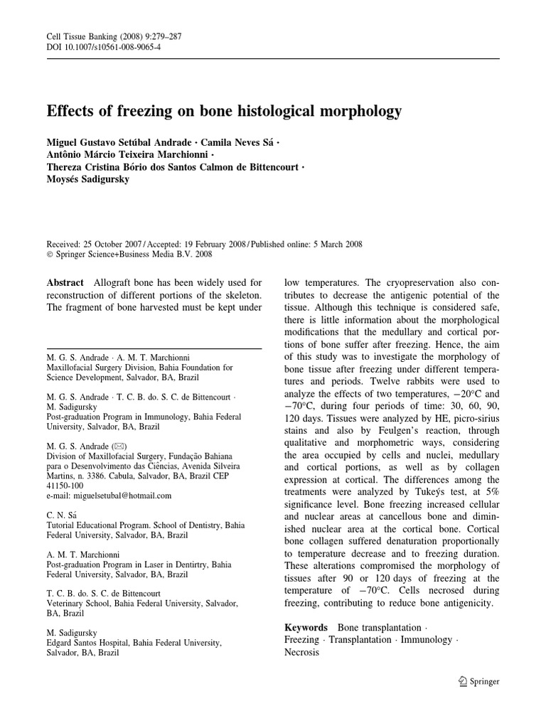 Bone Freeze | PDF | Bone | Staining