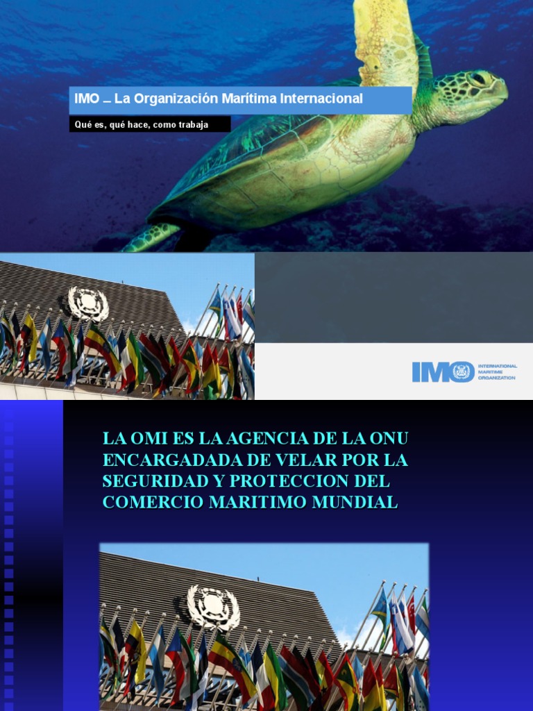 Introduccion A La Omi | PDF | Transporte de agua | Envío