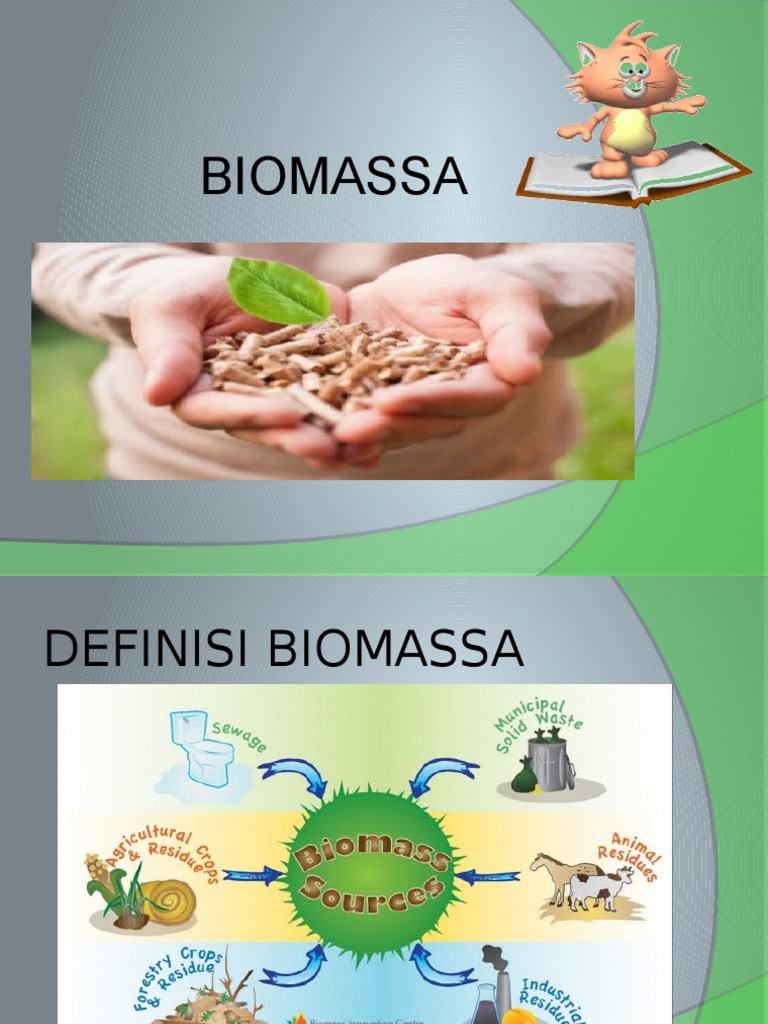 Presentasi Biomassa | PDF