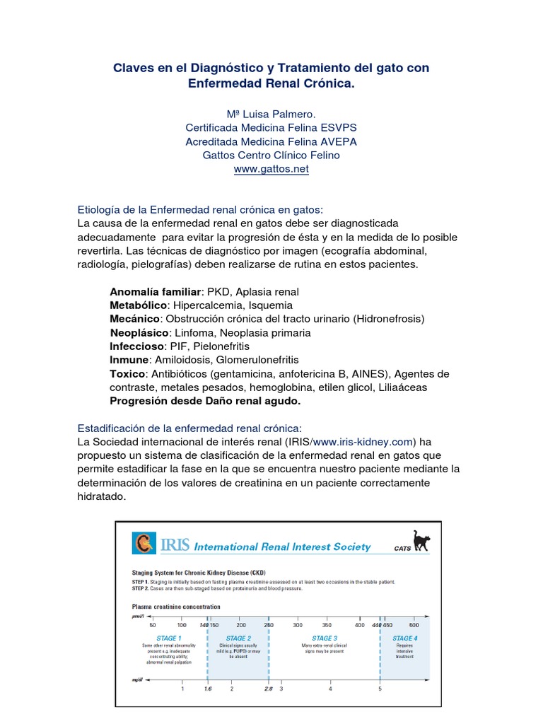 Diagnóstico y Tratamiento de ERC en Gatos | PDF