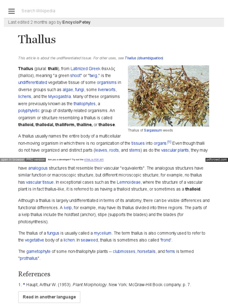 Thallus: Search Wikipedia | PDF