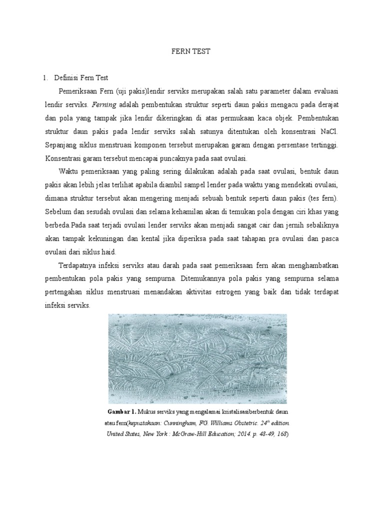 Fern Test | PDF