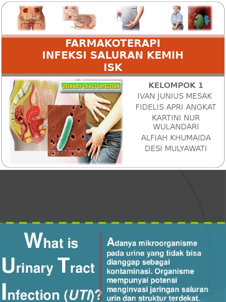 Farmakoterapi Infeksi Saluran Kemih ISK: Kelompok 1 | PDF