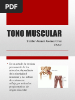 Modelo de Hill en contracción muscular | PDF | Músculo esquelético | Actina