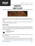 Claustrum Oil An Immortal Lesson | PDF