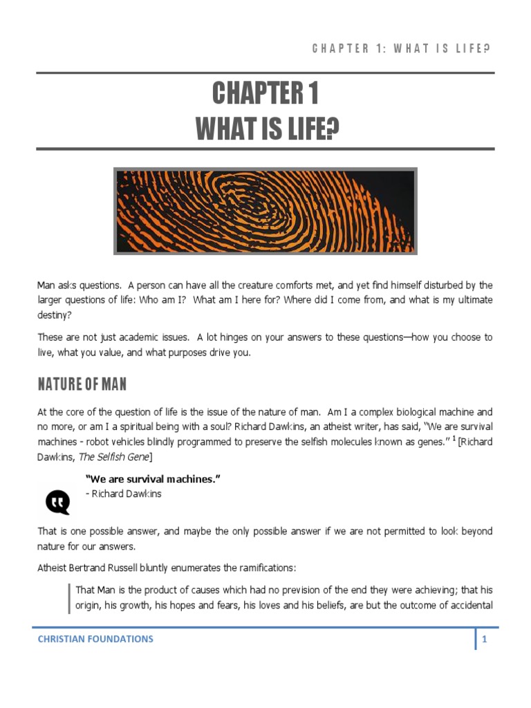 What is the Meaning of Life | PDF | Genesis Creation Narrative | Book ...