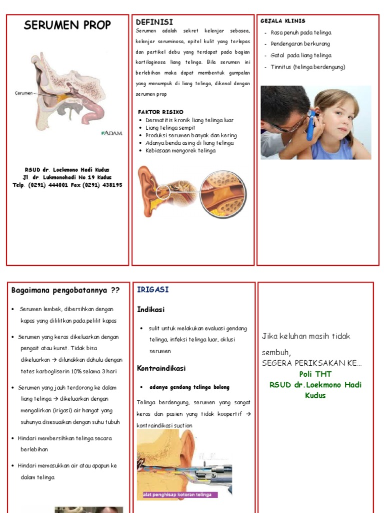 Leaflet Serumen Prop | PDF | Griya & Taman