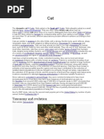 CASII | PDF | Child Abuse | Mental Disorder