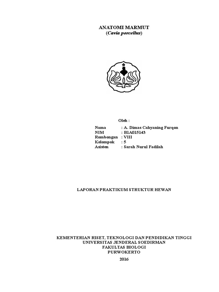 Anatomi Marmut | PDF