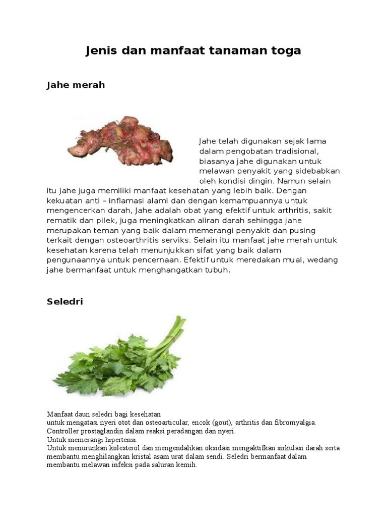 Jenis Dan Manfaat Tanaman Toga | PDF