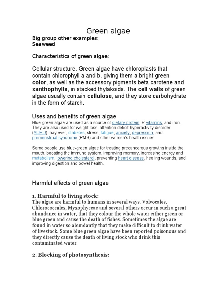 Green Algae | PDF | Algae | Cyanobacteria