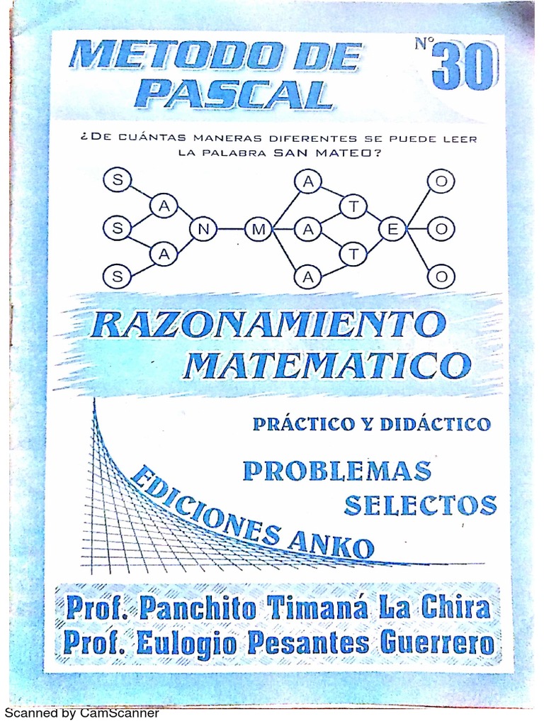 30 Pascal | PDF