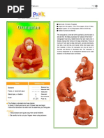 Tortoise: Instructions 1 | PDF