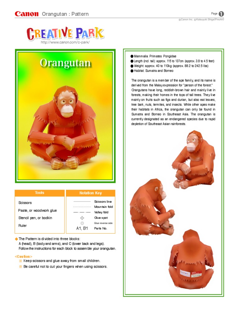Orangutan: Pattern: Notation Key Tools | PDF