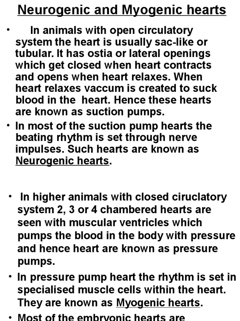 Neurogenic and Myogenic Hearts | PDF | Atrium (Heart) | Heart