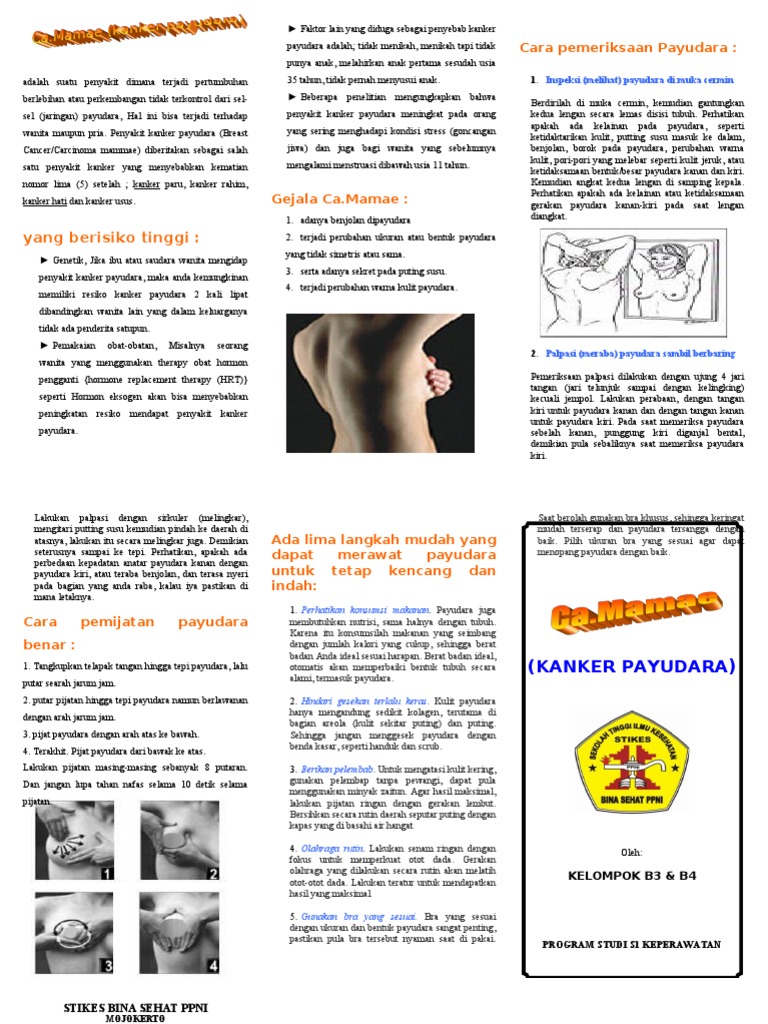 Leaflet CA - Mamae | PDF