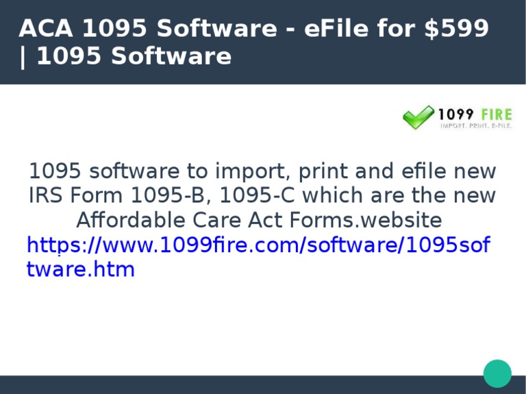 1095 Software | PDF | Finance & Money Management
