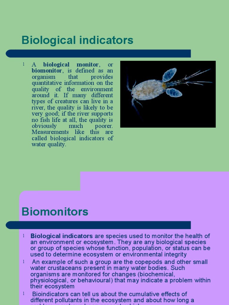 Biological Indicators | PDF | Water Pollution | Water Quality
