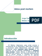 Protocolo de Tinción Diff-Quik en Citología | PDF | Tinción | Biología ...