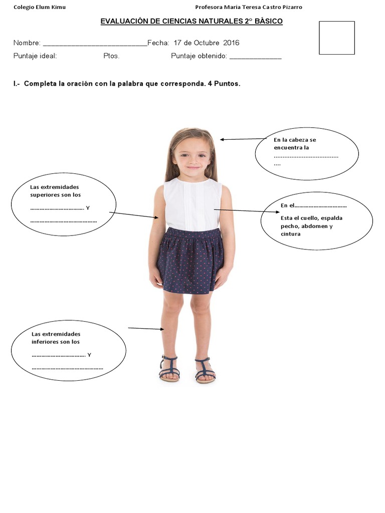 Evaluación Ciencias Naturales 2° Básico | PDF | Sistema digestivo ...