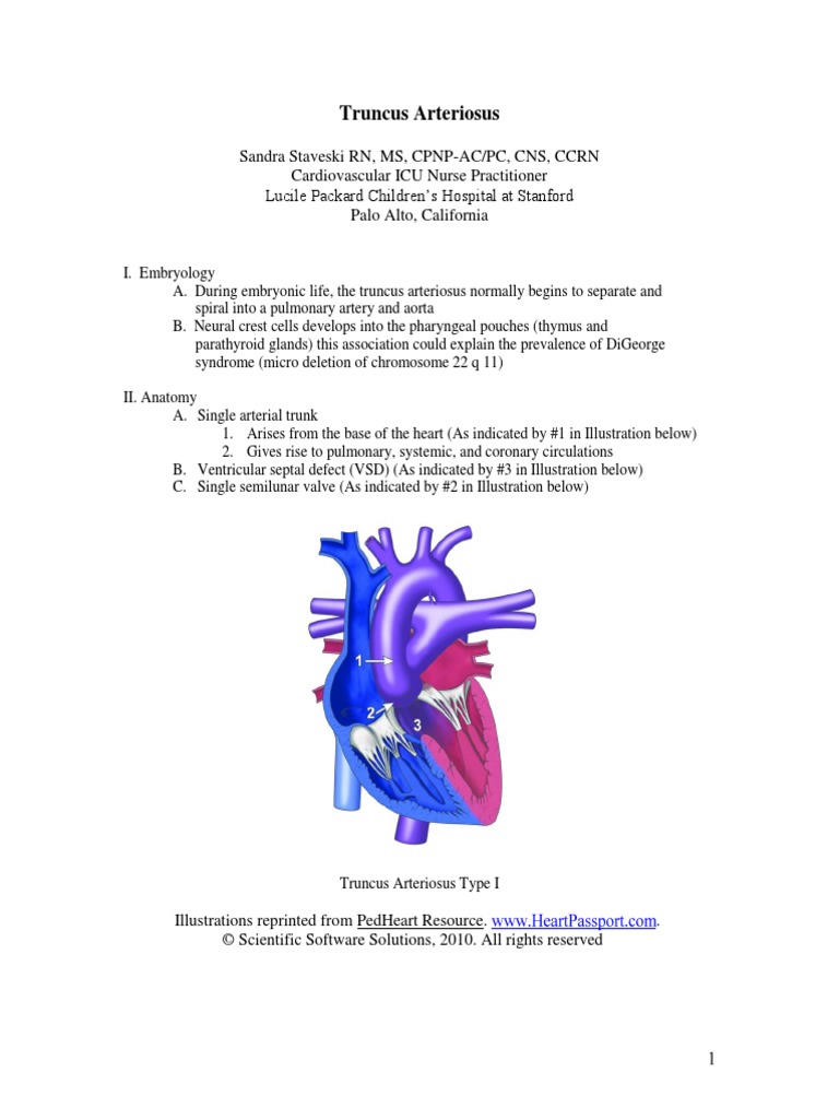 Truncus Arteriosus | PDF | Heart Valve | Circulatory System