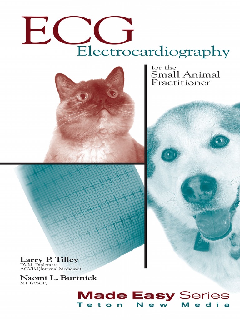 ECG For The Small Animal Practitioner | PDF | Cardiac Arrhythmia ...