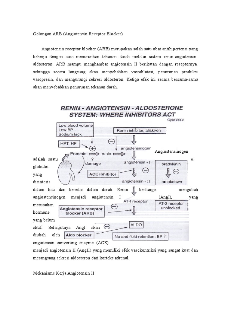 Mekanisme dan Contoh Obat ARB | PDF | Kesehatan Holistik