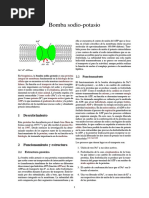 Función y Mecanismo de Bombas de Calcio | PDF | Calcio | Membrana celular