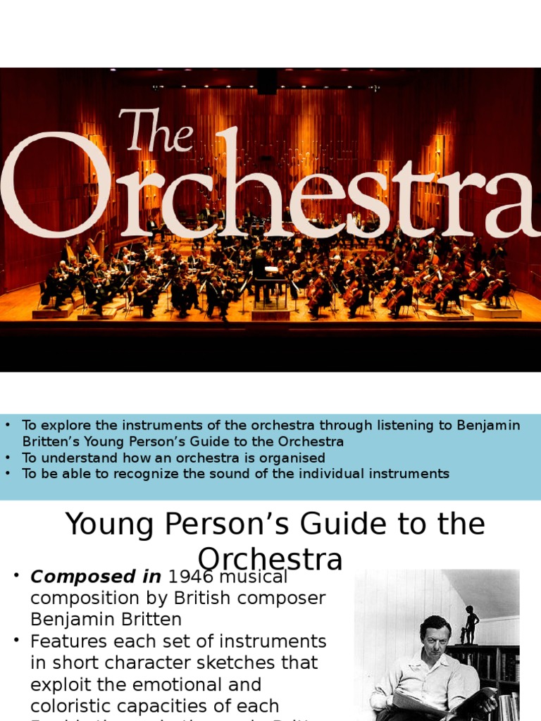 The Orchestra | PDF | Orchestras | Musical Instruments