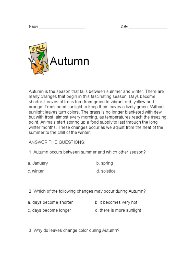 Reading Comprehension Level Elementary | PDF | Dances | Wheat