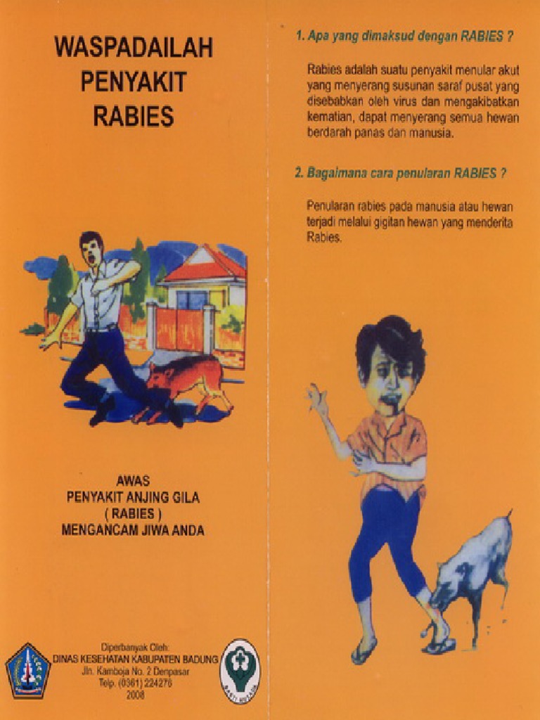 Brosur Rabies | PDF
