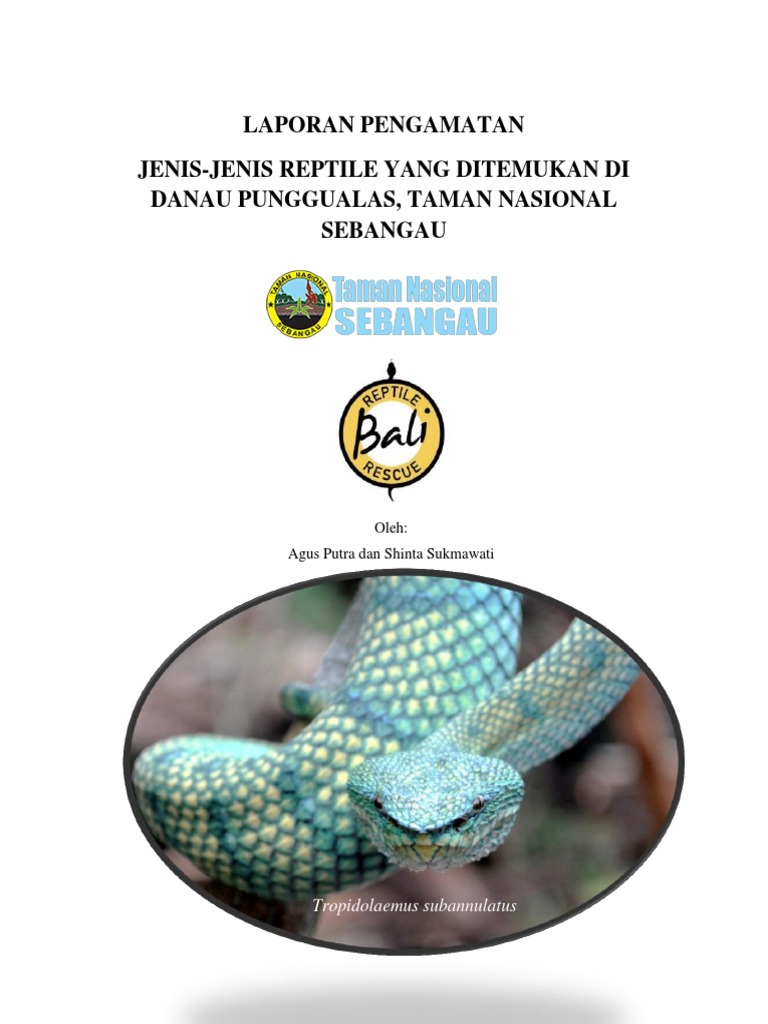 Laporan Pengamatan Jenis-Jenis Reptile Yang Ditemukan Di Danau ...