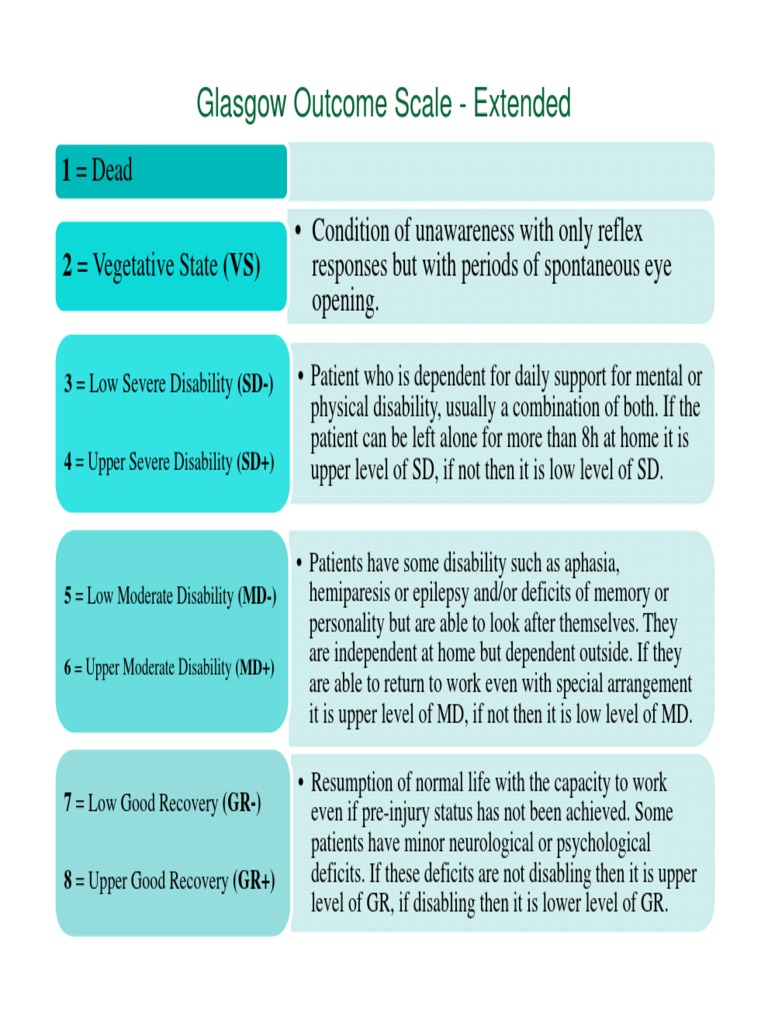 Glasgow Outcome Scale - Extended Overview | PDF