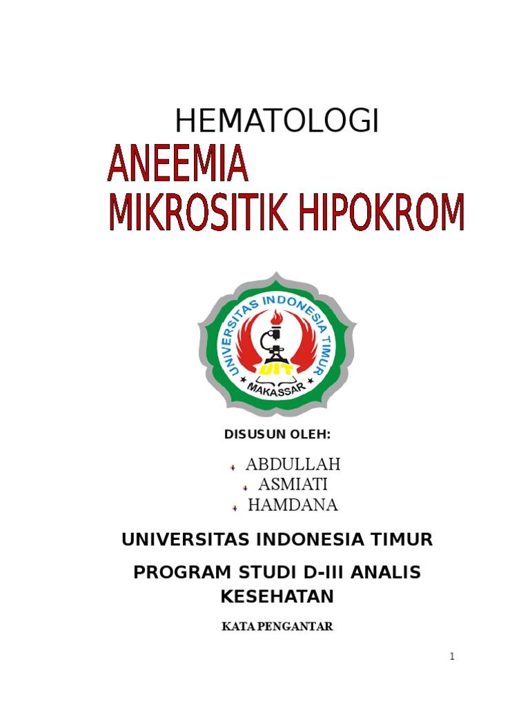 Anemia Mikrositik Hipokrom | PDF