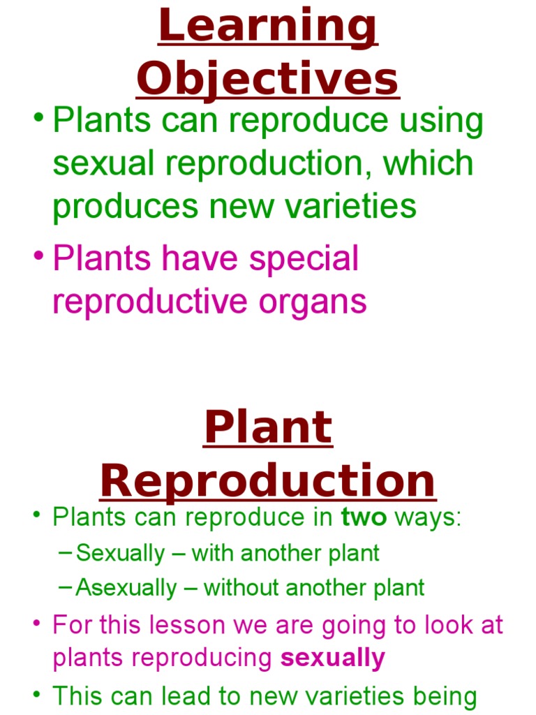 An Introduction to Sexual Reproduction in Plants: The Role of Male and ...
