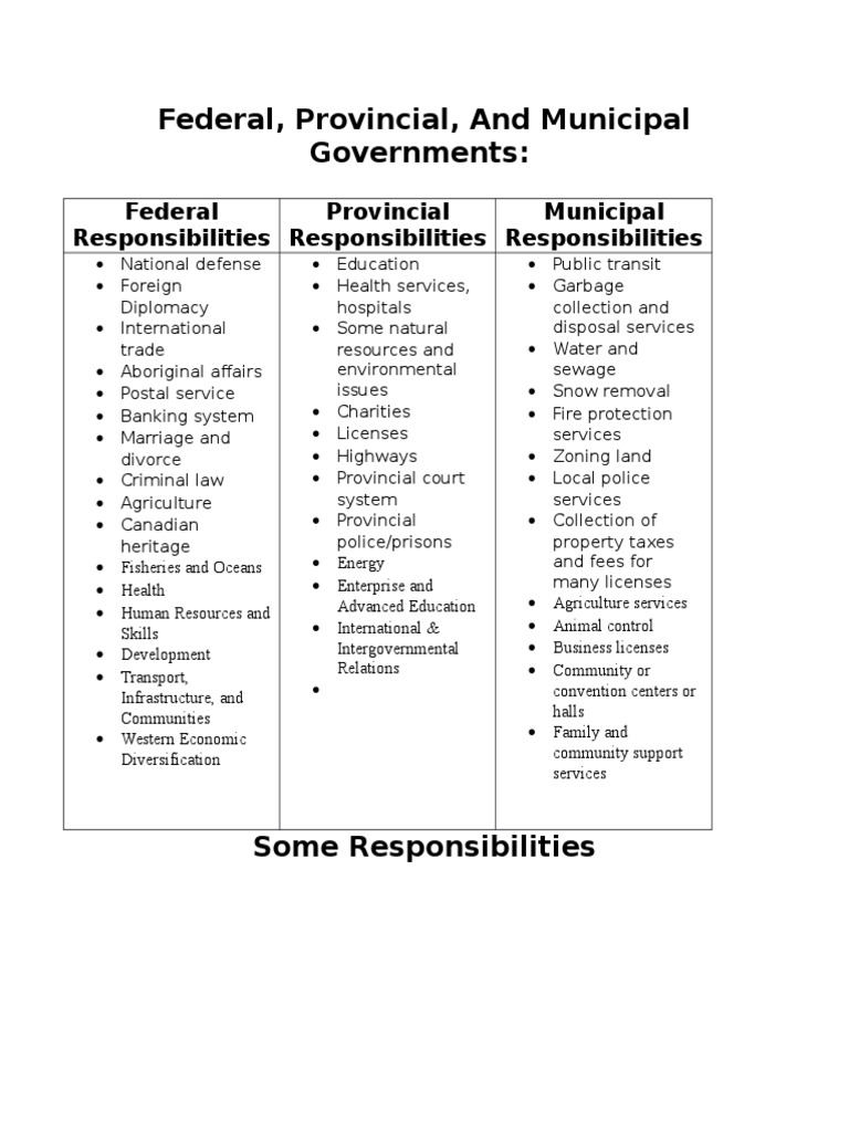 Government Responsibilities Overview | PDF | Law