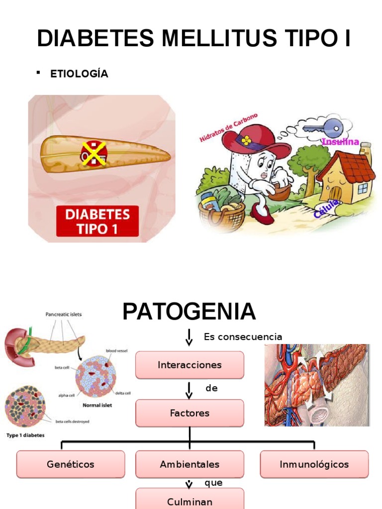 Diabetes Mellitus Tipo I.. Definitiva | PDF | Diabetes mellitus tipo 1 ...