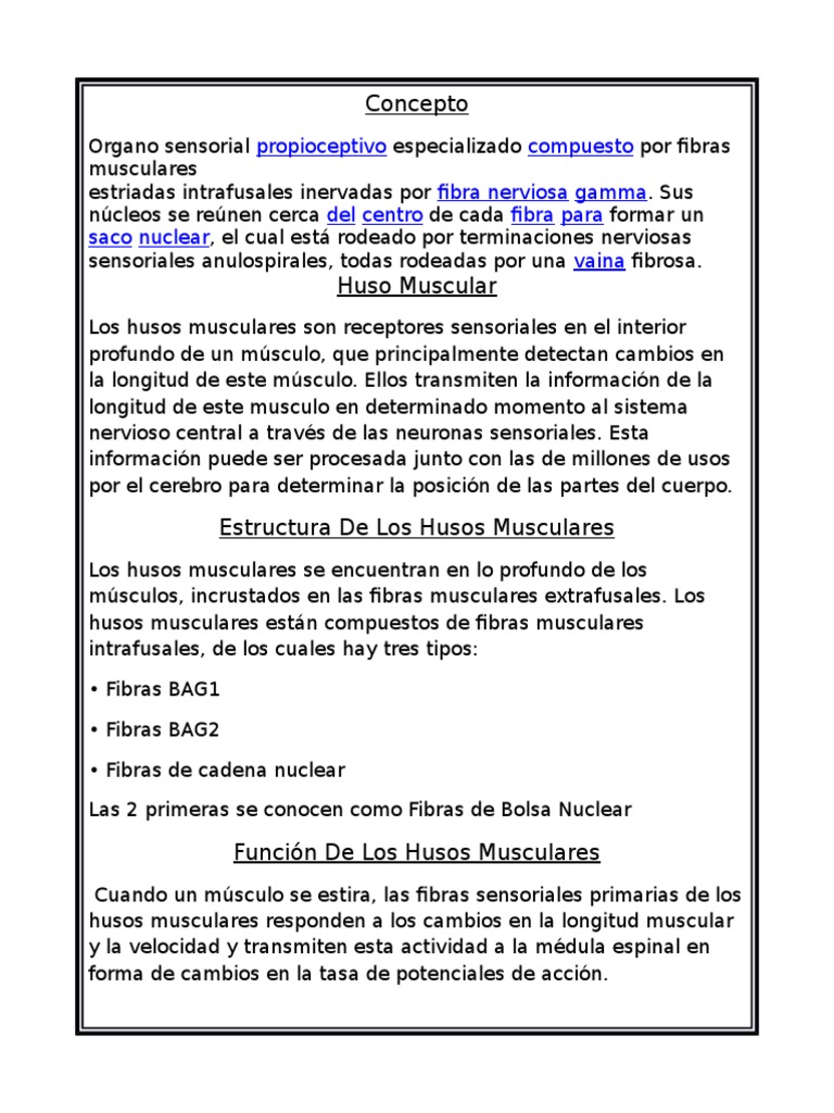 Huso Muscular | PDF | Neuroanatomía | Biología